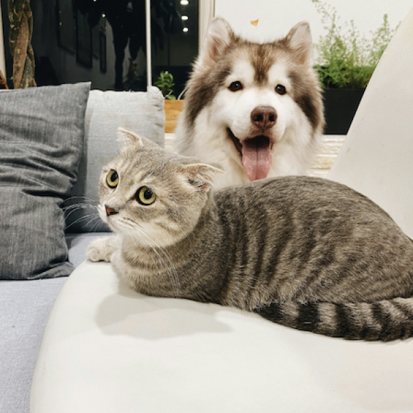 The Farmstead at Delta Ridge is a pet-friendly apartment community in ...